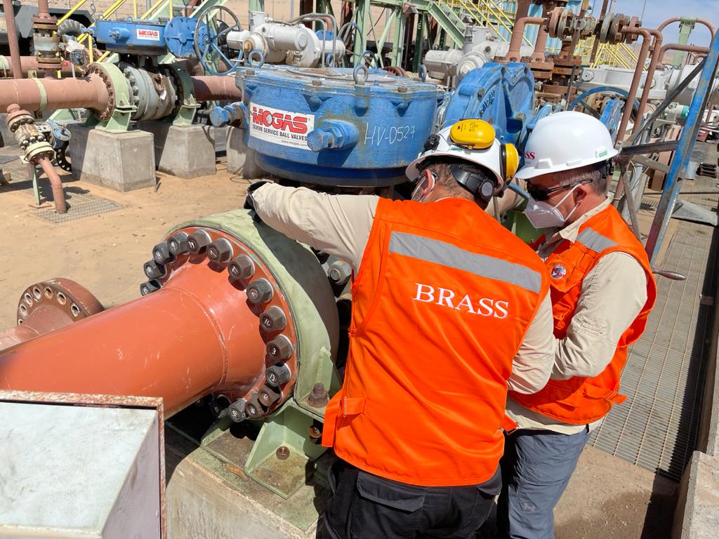 BRASS Chile -- Líder Planificación de Proyectos (AWP)