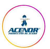 Acenor -- Ejecutivo de ventas Coquimbo